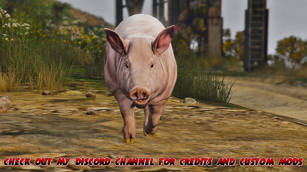 Download Realistic Pig (Replace) V1.0 - OpenIV